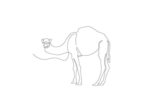Premium Vector Continuous Line Drawing Of Camel One Line Of Arabian