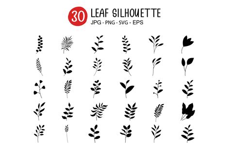 Leaf Silhouette Set Graphic By Khanisorn Creative Fabrica