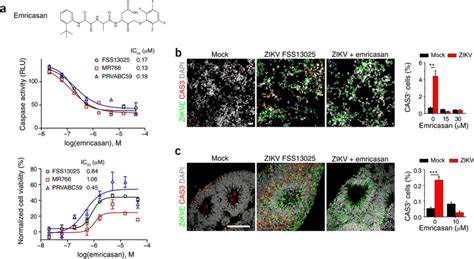 Emricasan Suppresses Cell Death Of Zikv Infected Human Astrocytes And
