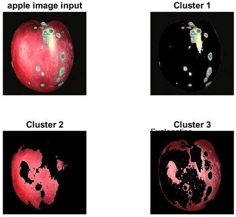 2 Segmented Image With 3 Clusters Download Scientific Diagram