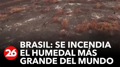 Incendios En El Humedal Más Grande Del Mundo En Brasil Videos