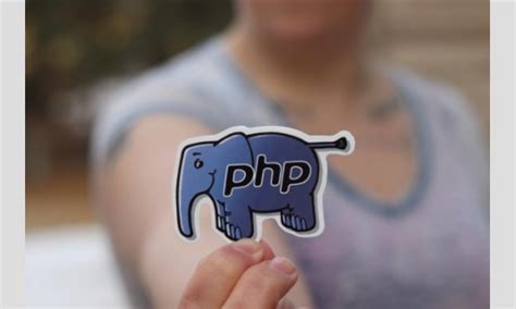 Programmers Create Life