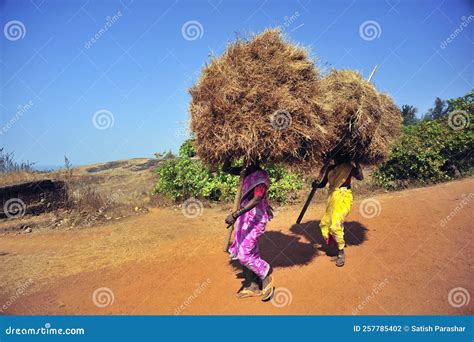 Two Women Carrying Dry Grass Bundle On Their Head For Cattle Editorial