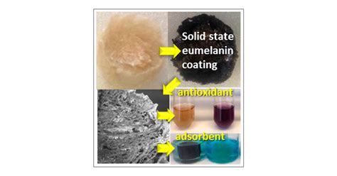Surface Functionalization Of Nanostructured Cellulose Aerogels By Solid