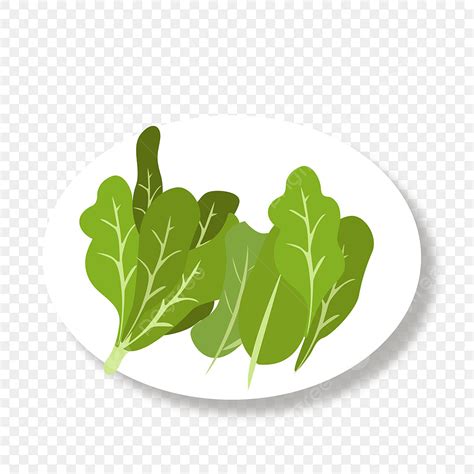 一盤生菜卡通素材設計 卡通 Ai元素 生菜向量圖案素材免費下載，png，eps和ai素材下載 Pngtree