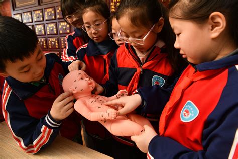 河北栾城学习中医知识 感受国医魅力