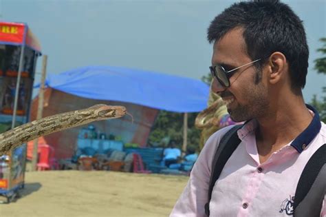 Tarun Kamwani With The Pythonidae Commonly Known Simply As Pythons From The Greek Word Python