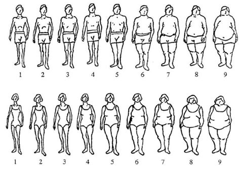 The Figure Rating Scale Of 9 Sex Specific Body Silhouettes Download