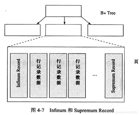 【mysql技术内幕】19 Innodb数据页结构 Csdn博客