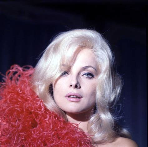 Virna Lisi Belle Attrici Attrici Donne Iconiche