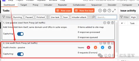 Burpsuite常用插件总结，零基础入门到精通，收藏这一篇就够了burpsuite插件 Csdn博客