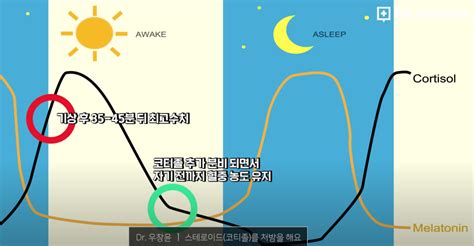 아침에 커피 마시는 사람들~ 아침에 커피를 마셔도 더 피곤해 지는 이유 유머움짤이슈 에펨코리아