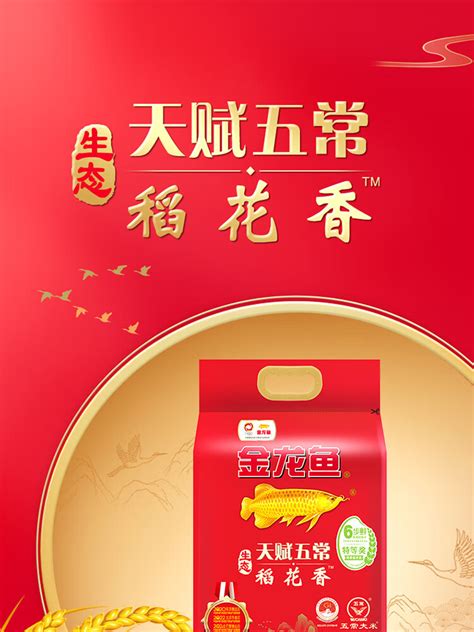 金龙鱼大米5kg精品御品珍珠米稻花香梗米特选东北大米礼品装新米 阿里巴巴