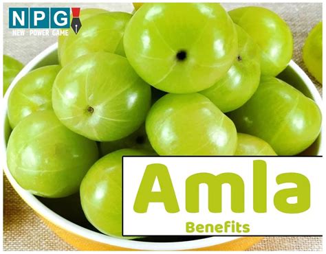 Amla Benefits क्या आप जानते हैं कि सौ ग्राम आंवले में होता है 20 संतरे