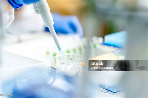 研究室で化学研究を行うサンプルをガラスフラスコにピペッティング 1人のストックフォトや画像を多数ご用意 1人 Stem教育