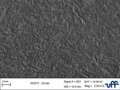 Aisi H13 Tool Steel Sem Se Micrograph Of The As Quenched Microstructure