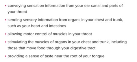 Cranial Nerve Flashcards Quizlet