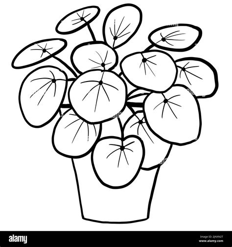 Money Tree Clipart Black And White