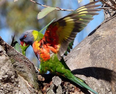 News The Wildlife Society