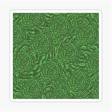 Cabbage Collage Summer Garden Pattern A Layered Green Cabbage