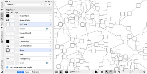 12 Styles — Cytoscape User Manual 3 8 0 Documentation