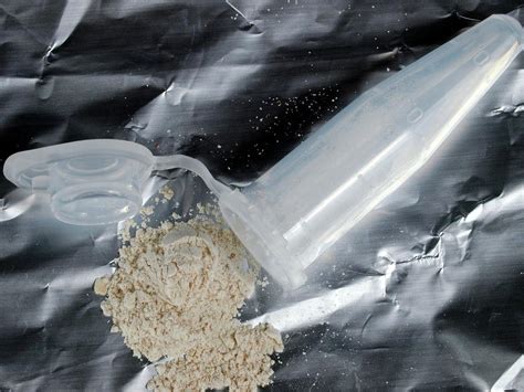 Extraction Of Fossil Dna 6 Photograph By Science Photo Library Pixels