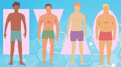 Body Type Quiz Discover Your Unique Somatotype Endomorph Ectomorph Or Mesomorph Fitness Volt