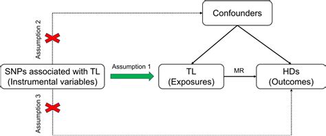 Figure 1 From Genetically Predicted Telomere Length And The Risk Of 11