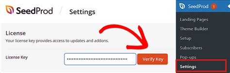 How To Add Dynamic Content In WordPress Beginner S Guide
