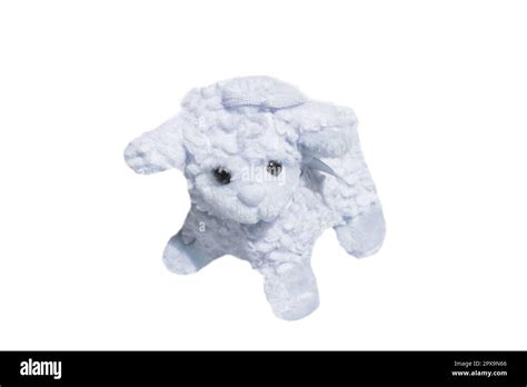 White Sheep Toy Isolated On White Background Sheep Soft Toy Plush