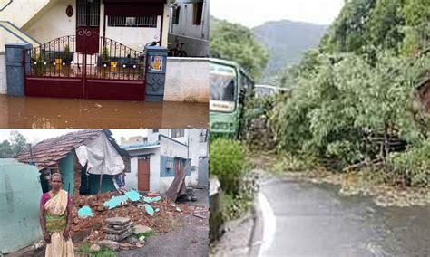 கோவை நீலகிரியில் கொட்டி தீர்த்த கனமழை 7 இடங்களில் மரங்கள் முறிந்து