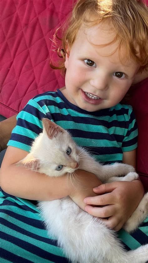 How Hudson Met Flower An Adorable New Kitty By Freda Savahl