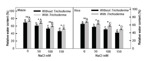 Effect Of Trichoderma Harzianum Seed Treatment On Seedling Growth Of Download Scientific