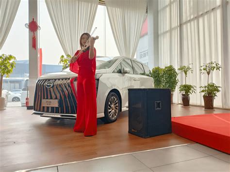 中国豪华mpv—m8宗师上市，让世界仰望中国造！ 燃油 双擎 版本