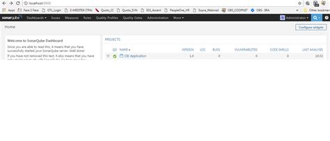 SonarQube Not Showing Any Bug Vulnerability Report