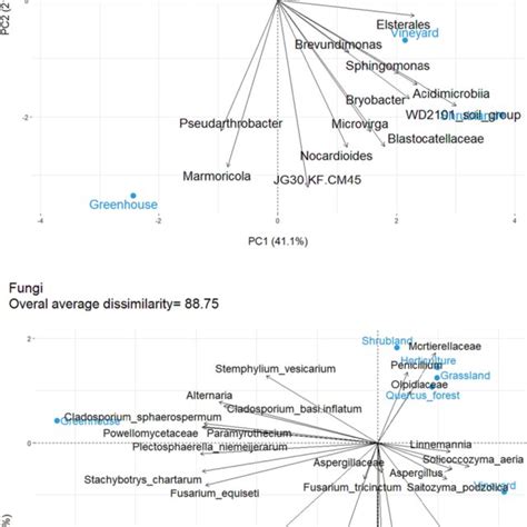Principal Component Analysis Pca Representing Similarity Of Download Scientific Diagram