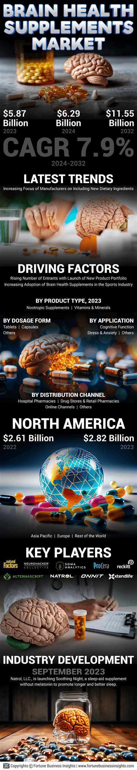 Infographics Brain Health Supplements Market