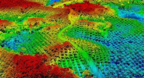 Lidar And Karbon Hutan Pengelolaan Lingkungan Berkelanjutan