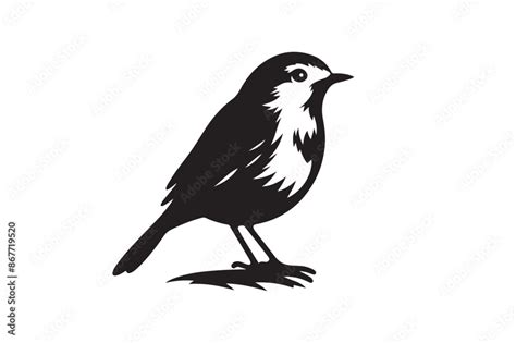 Robin Bird Silhouette Vector Illustration Stock Vector Adobe Stock