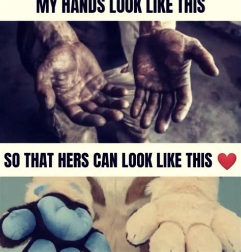 Ambatu Dump Rpissfard