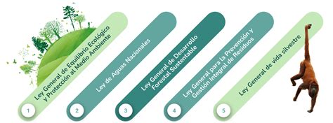 Clase Digital 5 Leyes Reglamentos Y Normas En Materia De