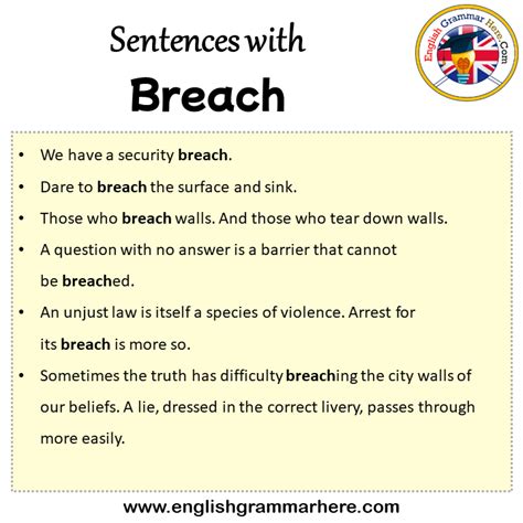 Whats The Definition Of The Word Breach At Mildred Urban Blog