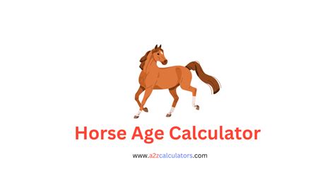 Horse Age Calculator