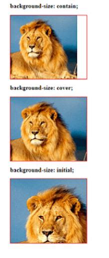 Css Background Size I Tutorials