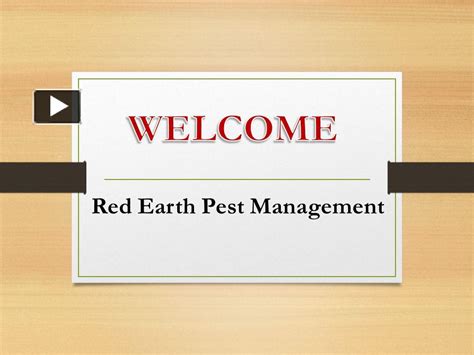 Ppt Rodent Control In Black Springs Powerpoint Presentation Free To
