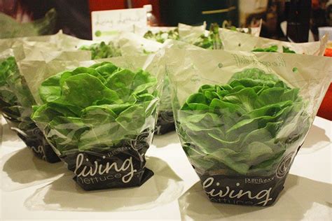 Smart Farm Produce Packaging Compostable Stand Up Pouches Vegetarian