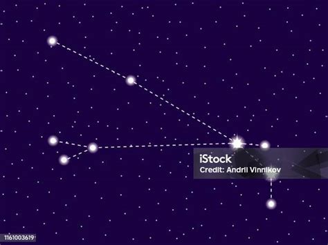 양자리 별자리 별이 빛나는 밤 하늘입니다 별과 은하의 클러스터 깊은 공간 벡터 일러스트레이션 Planetarium