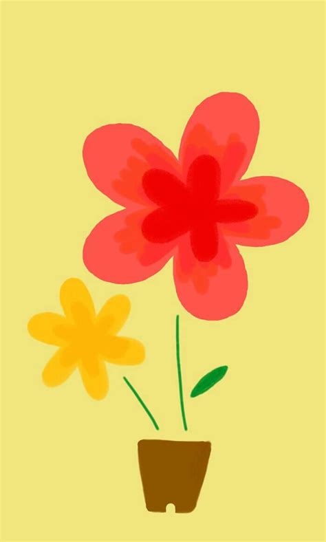 Oogiis Store Oogiis Store Added A New Photo