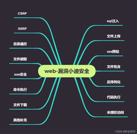 Web漏洞 知识点详解 Csdn博客