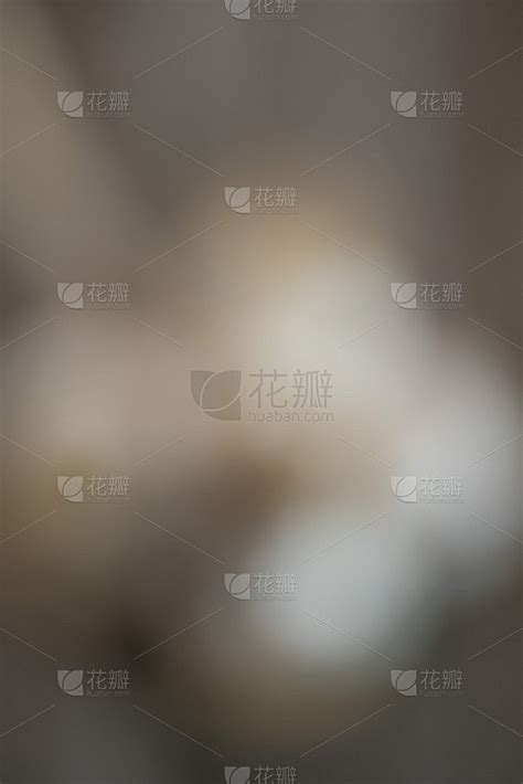 白色底色光滑的沙褐色和浅棕色